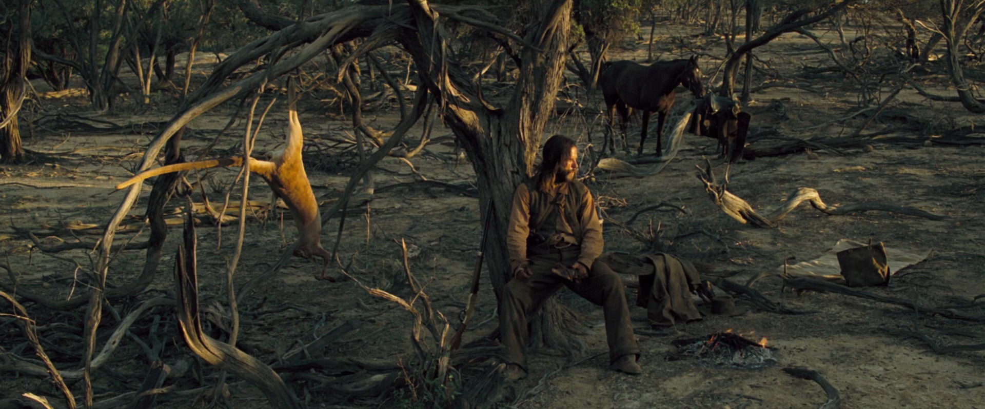 Evan E. Richards – Page 16 – Evan E. Richards Website and Cinematography Reference Archive