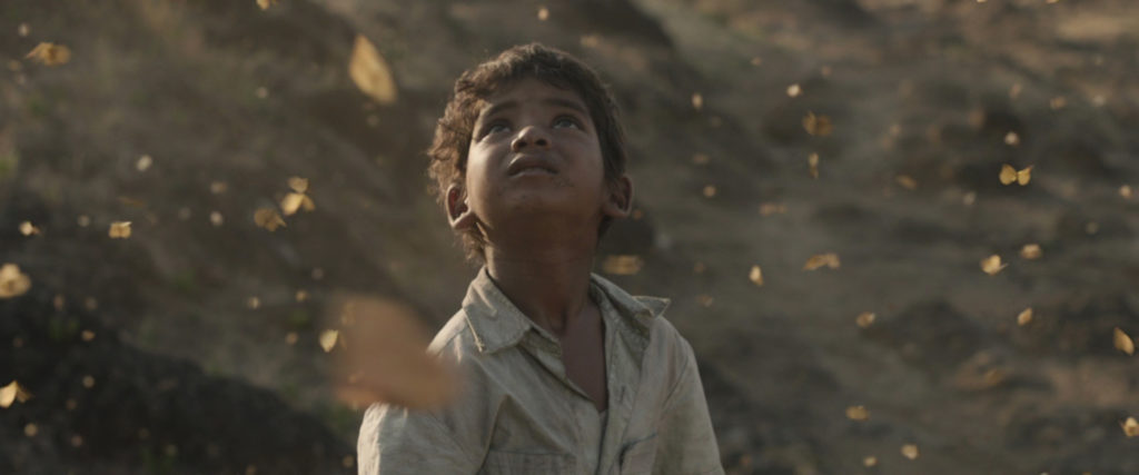 Evan E. Richards – Page 10 – Evan E. Richards Website and Cinematography Reference Archive